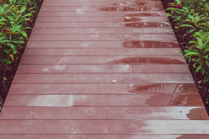 The Reddish Brown Wooden Walkway after Rain Stock Image - Image of ...