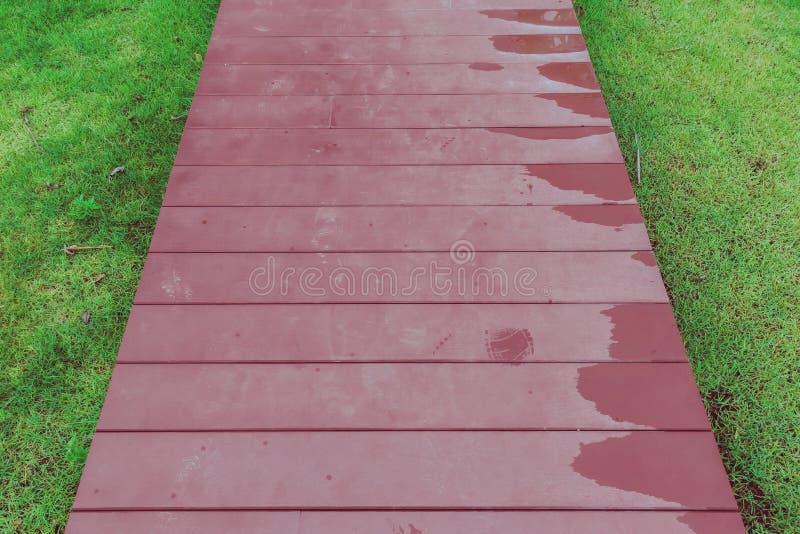 The Reddish Brown Wooden Walkway after Rain Stock Photo - Image of ...
