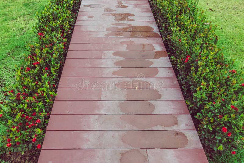 The Reddish Brown Wooden Walkway after Rain Stock Photo - Image of ...