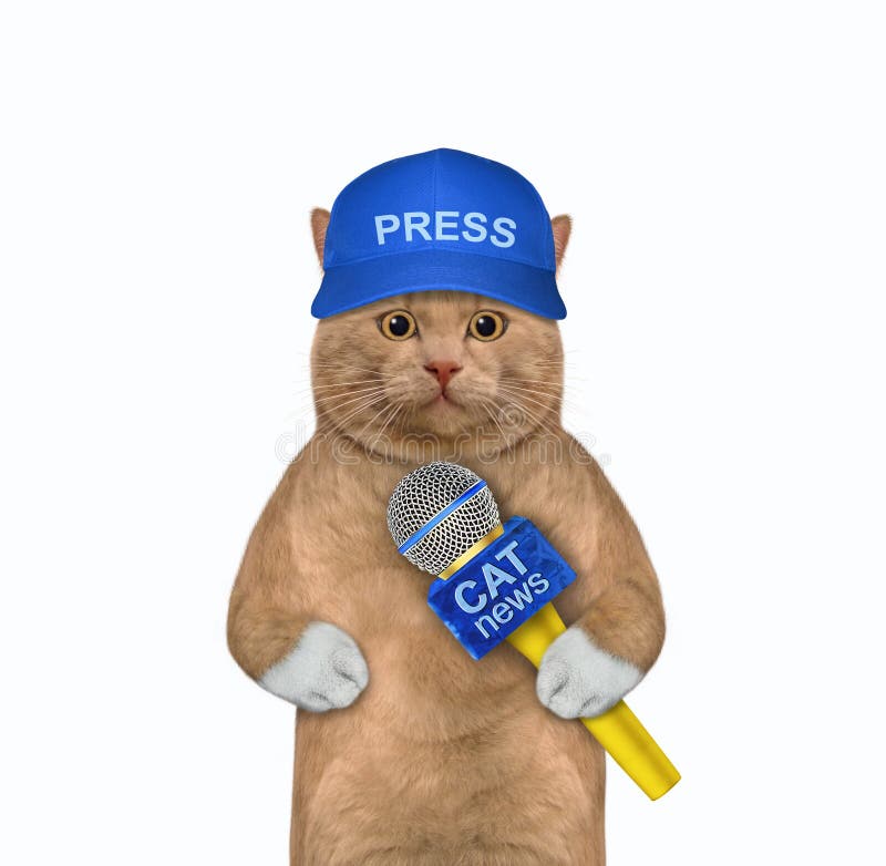 118 Cat Journalist Stock Photos - Free & Royalty-Free Stock Photos from ...