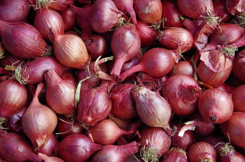 Skinned Shallots Stock Photos - Free & Royalty-Free Stock Photos from ...