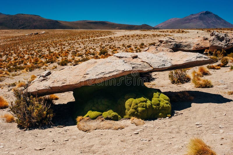 Reddish Rock Formations in Desert Morning Sun, Bolivia Stock Image ...