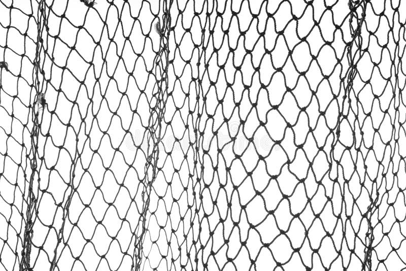 Rede dos peixes foto de stock. Imagem de rede, comercial - 7397712