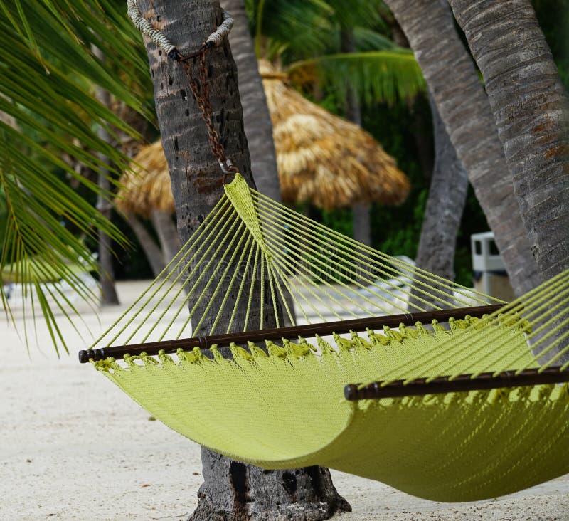 Rede Na Praia Esticada Entre As Palmas Imagem de Stock - Imagem de céu ...