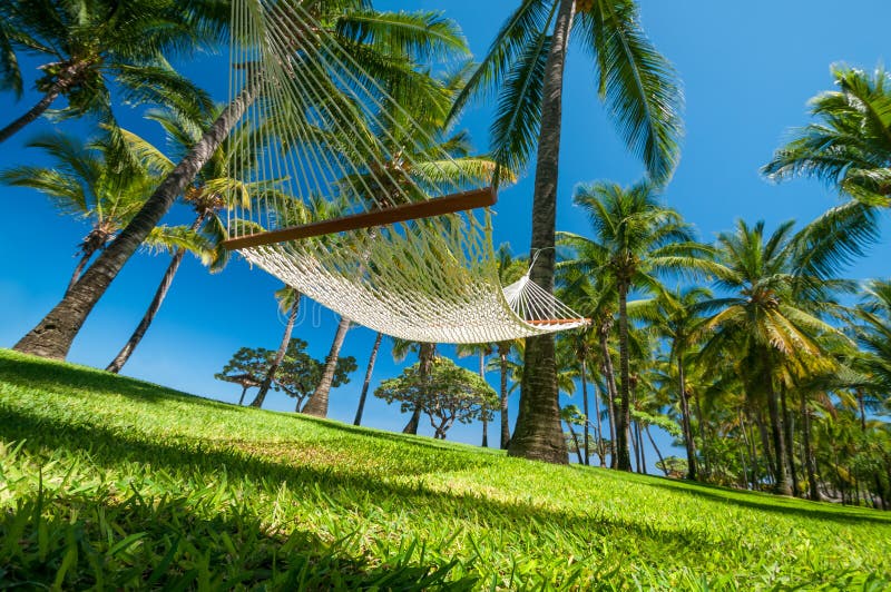 Rede na praia tropical foto de stock. Imagem de beleza - 33966830