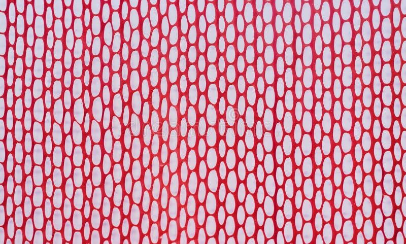 Rede Vermelha Do Fruto Em Um Fundo Branco Imagem de Stock - Imagem de ...
