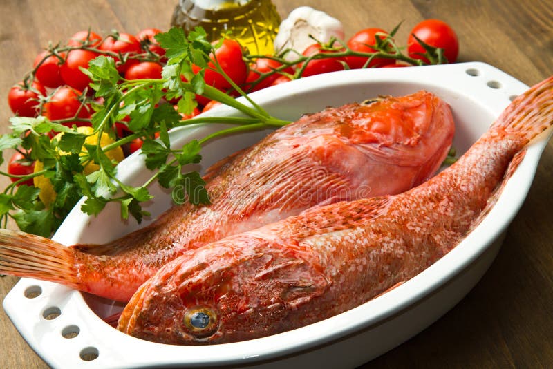 Redfish stock image. Image of orange, helicolenusdactylopterus - 29697481