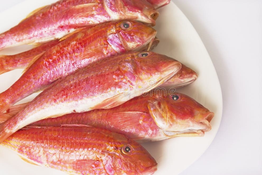 Redfish stock image. Image of seafood, market, water, eating - 8438017