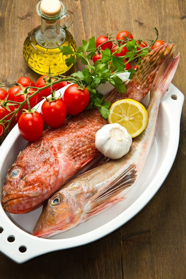 Redfish stock image. Image of ocean, dinner, freshness - 31533741