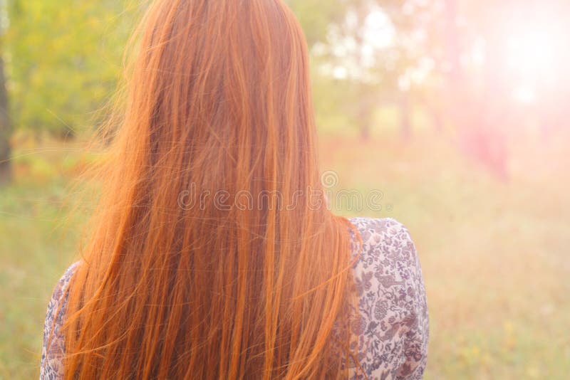 Back of Blond Woman with Long Beautiful Hair Stock Image - Image of ...