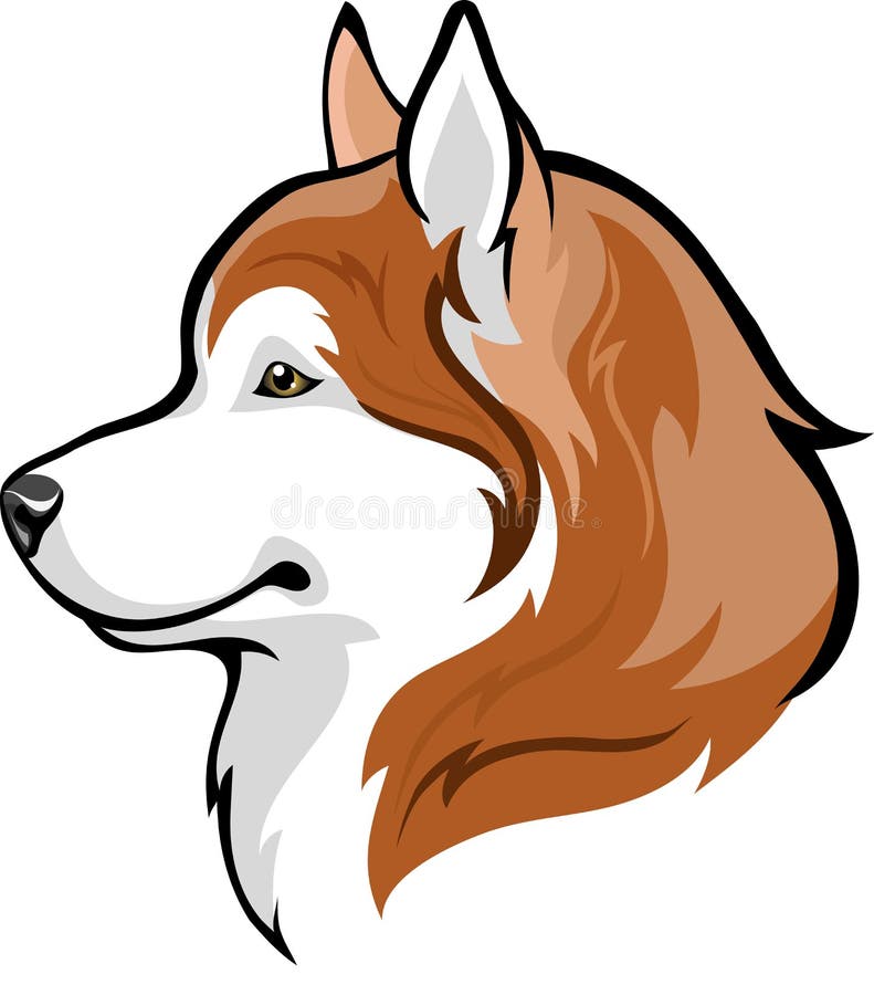 Redhead Huskies stock vector. Illustration of smart, profile - 36145085