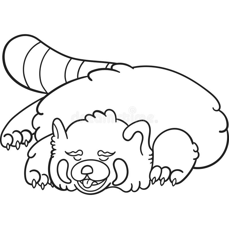 Red panda tired stock vector. Illustration of posters - 248135166