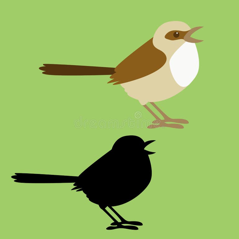 Redstart Vector Stock Illustrations – 106 Redstart Vector Stock ...