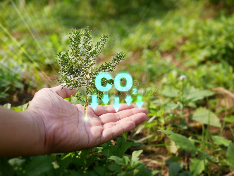 Reduce CO2 Emission Concept. a Tree on Hand Helps Lower Carbon Dioxide ...