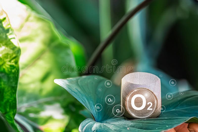 Reduce CO2 Emissions To Limit Climate Change and Global Warming. Tree ...