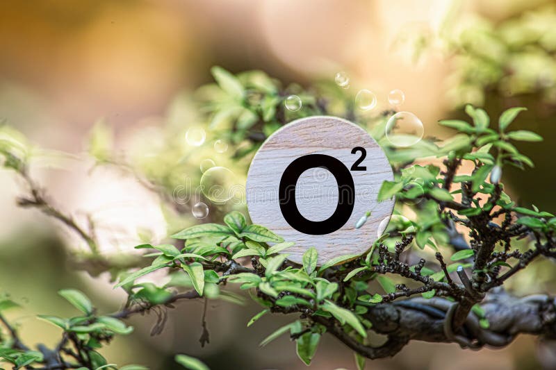 Reduce CO2 Emissions To Limit Climate Change and Global Warming. Tree ...