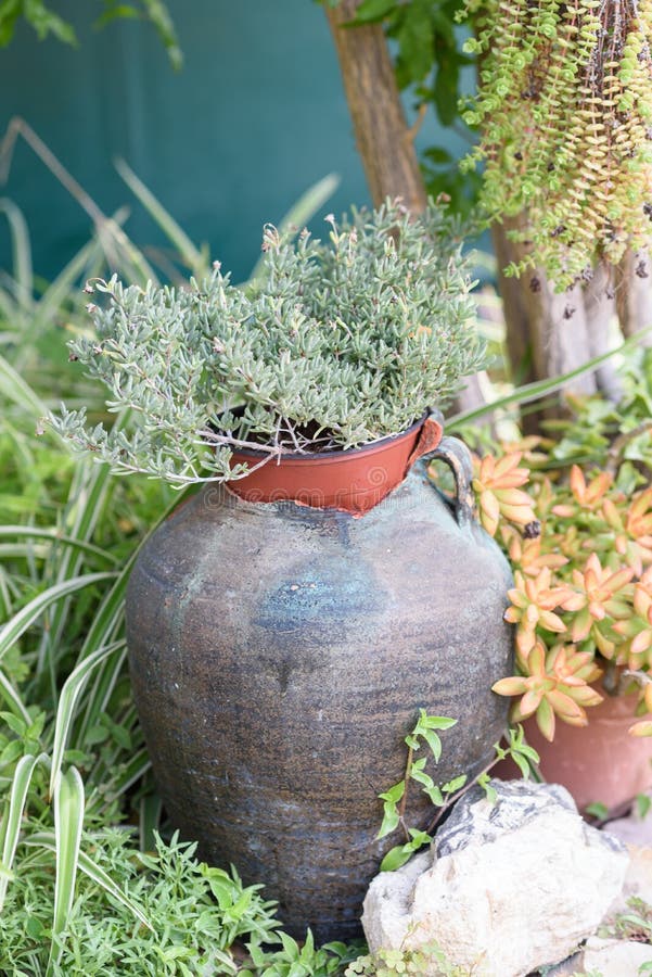 Reduce, Reuse, Recycle Planter Craft Ideas.Recycled Garden Design and ... Reduce, Reuse, Recycle Planter Craft Ideas.Recycled Garden Design and ...