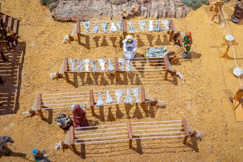 Reduced-scale Human Representation Model Measuring Approximately 10cm ...