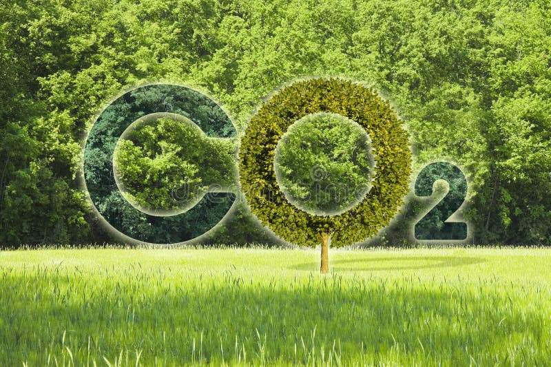 Reduction of the Amount of CO2 Emissions - Concept with CO2 Icon Text ...