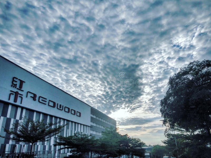 Redwood Company in Malaysia Editorial Image - Image of building ...
