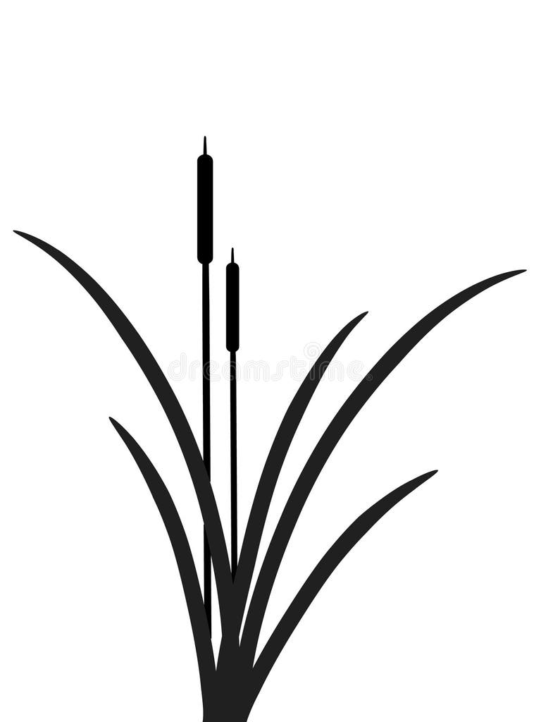 Reed Icon Stock Illustrations – 3,621 Reed Icon Stock Illustrations ...