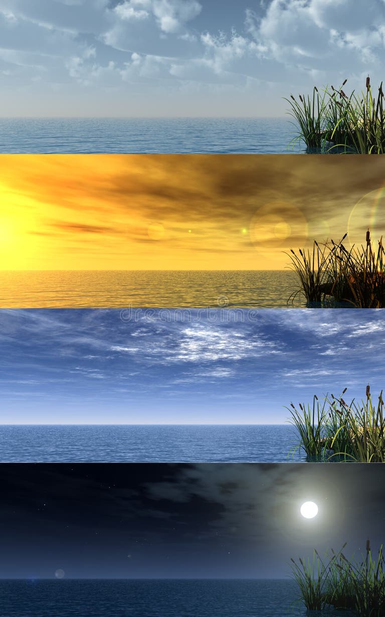 Sun Reed Stock Illustrations – 2,253 Sun Reed Stock Illustrations ...