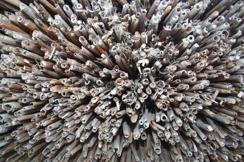 Reed background stock image. Image of reed, natural, roof - 11385757