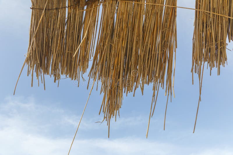 Reed Beach umbrella stock image. Image of reed, outside - 91547539