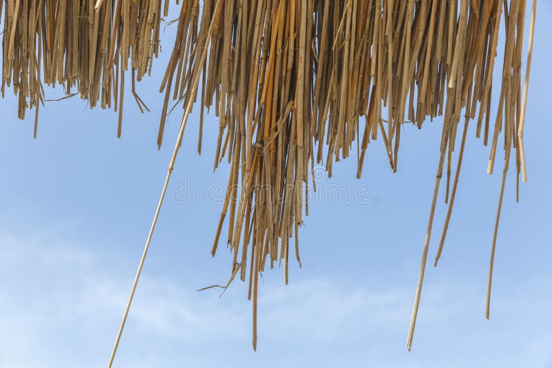 Reed Beach umbrella stock image. Image of protection - 91547571