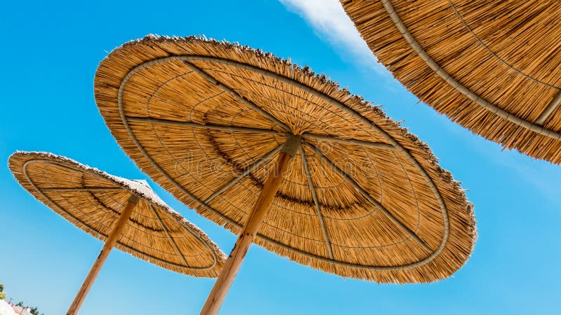Reed Beach Umbrellas stock image. Image of lounge, holidays - 76241335