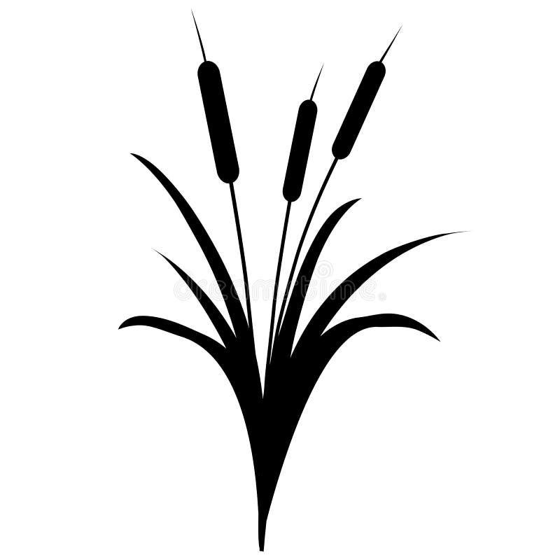 Reed Stock Illustrations – 18,001 Reed Stock Illustrations, Vectors ...