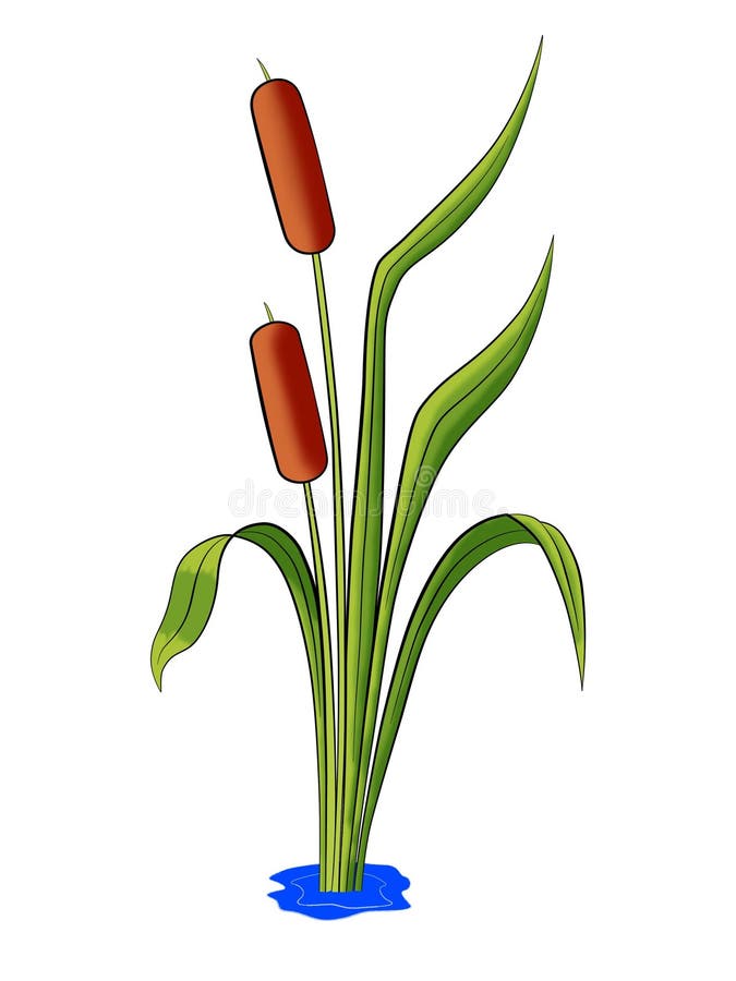 Cartoon Herbage Stock Illustrations – 109 Cartoon Herbage Stock ...