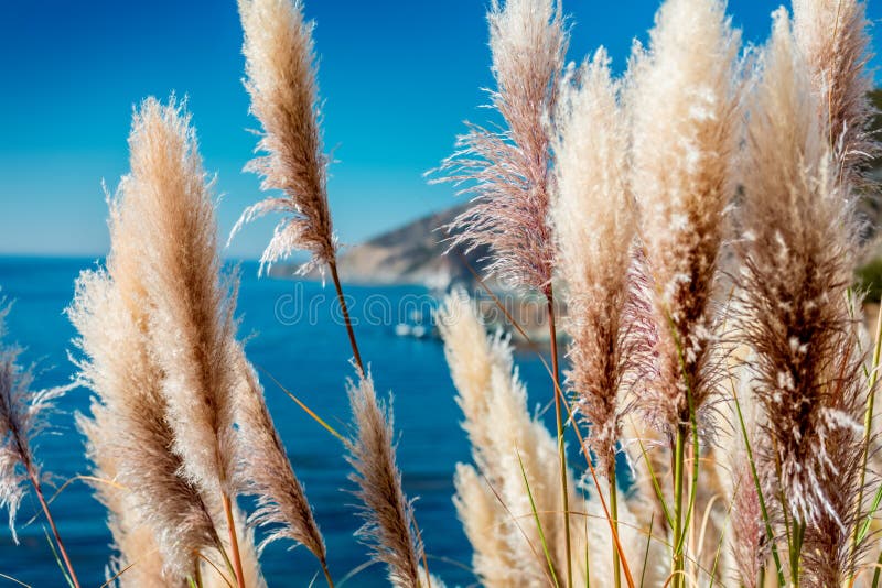 Blue light stock photo. Image of abstract, posing, sign - 11514168