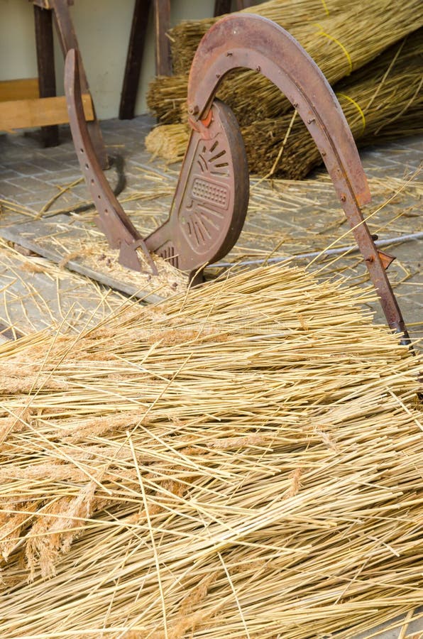 Reed cutter stock image. Image of occupation, ancient - 31540773