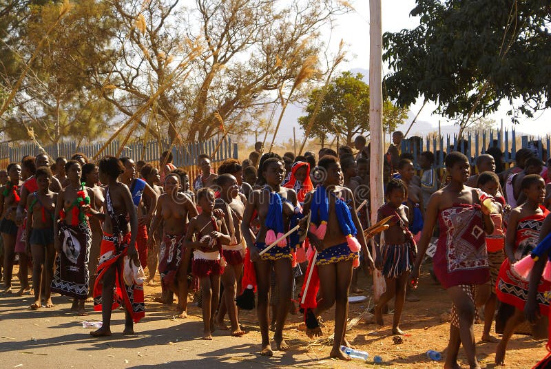 Reed Dance in Swaziland editorial stock photo. Image of girl - 10517683