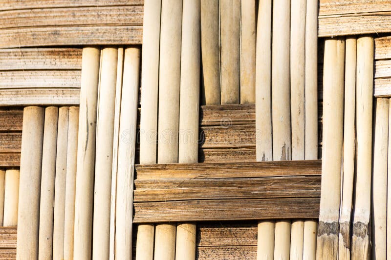 Reed Detail, Natural Background for Graphic Designs Stock Image - Image ...