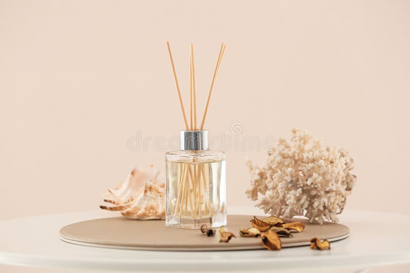 Reed Diffuser and Sea Shells on Table in Room Stock Image - Image of ...