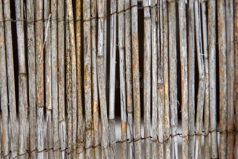 Reed fence detail stock image. Image of facade, structure - 3905303