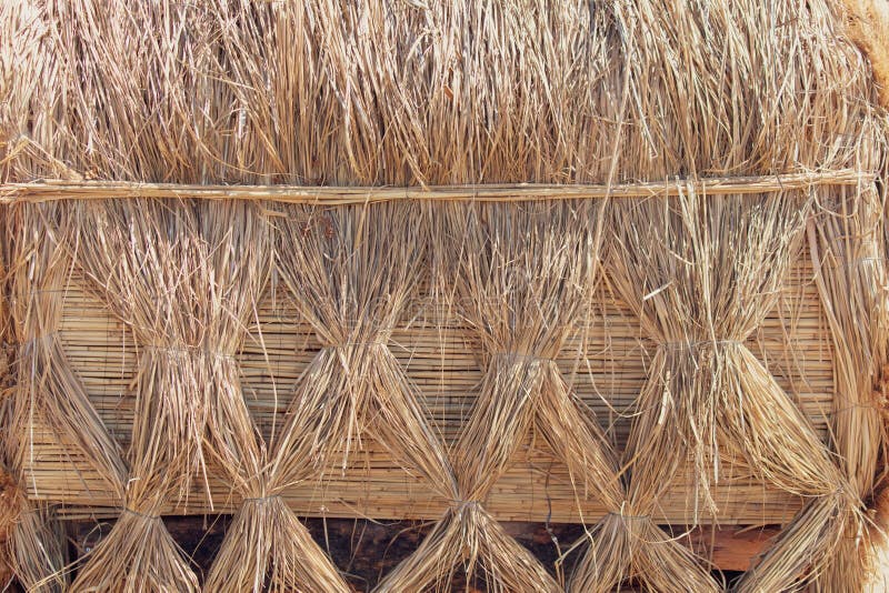 Reed Fence Wall As Abstract Background. Stock Image - Image of plant ...