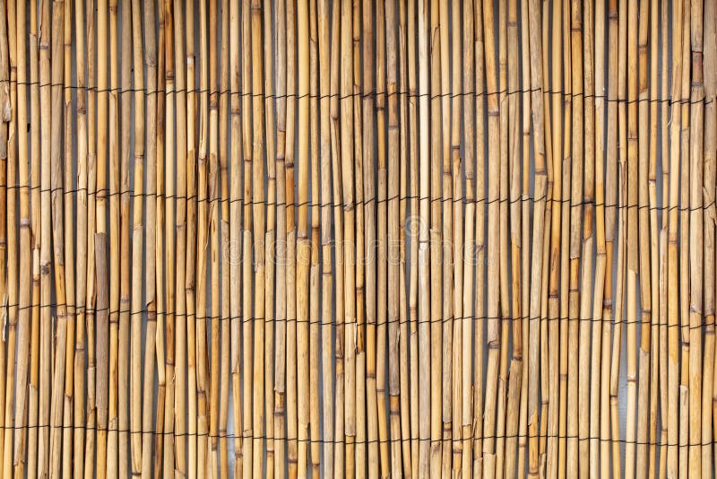 Reed Fence Wall As Abstract Background. Stock Photo - Image of abstract ...