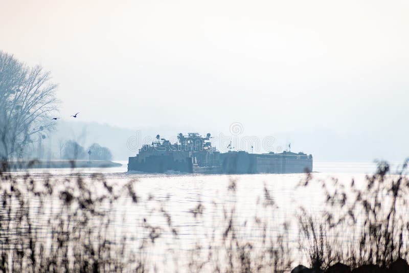 Reed in Front of Cargo Boat Stock Image - Image of calm, reed: 208389957