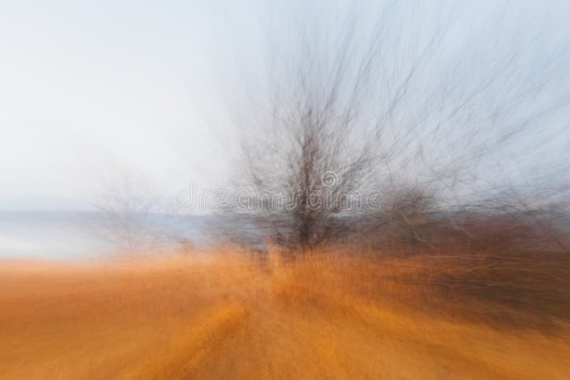 Reed Grass with Bare Tree and Fog. Intentional Camera Movement ...
