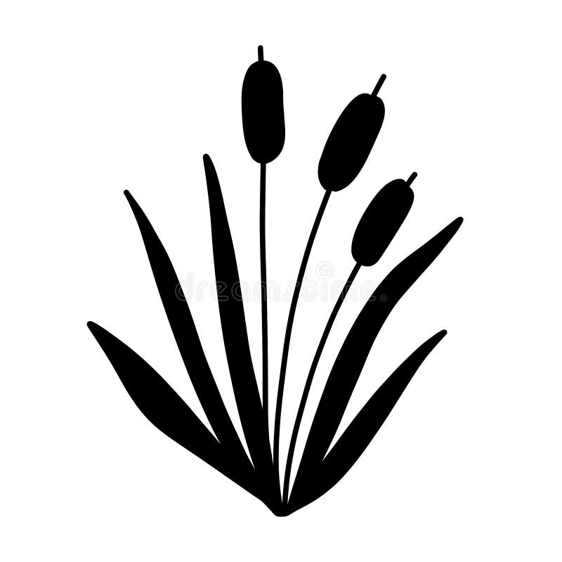 Reed Grass Silhouette. Black Hand Drawn Reeds Sketch Stock Vector ...
