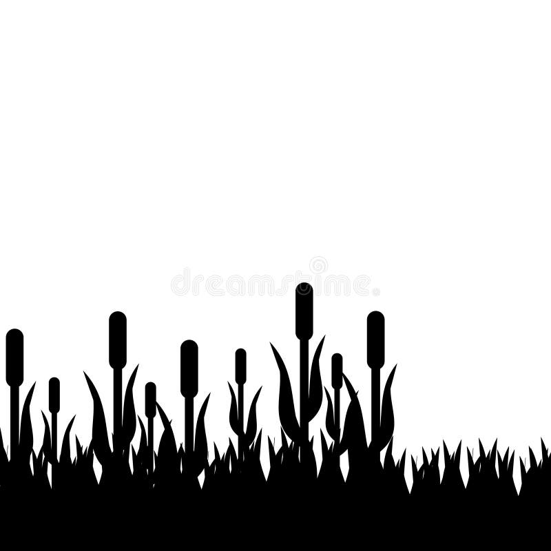 Reed with Grass on White Background Stock Vector - Illustration of ...