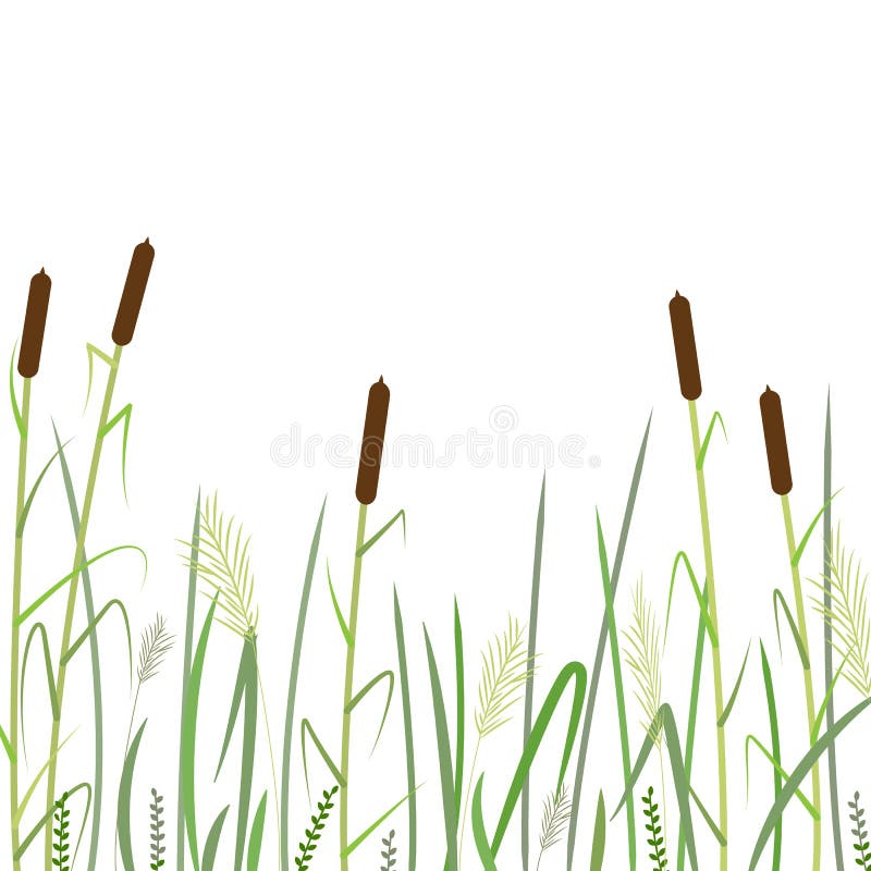 Reed background vector stock vector. Illustration of abstract - 3953696