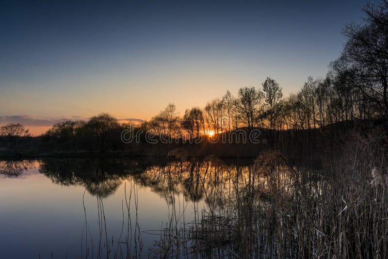 Reed Lake with a Reflective Surface Stock Image - Image of reflective ...