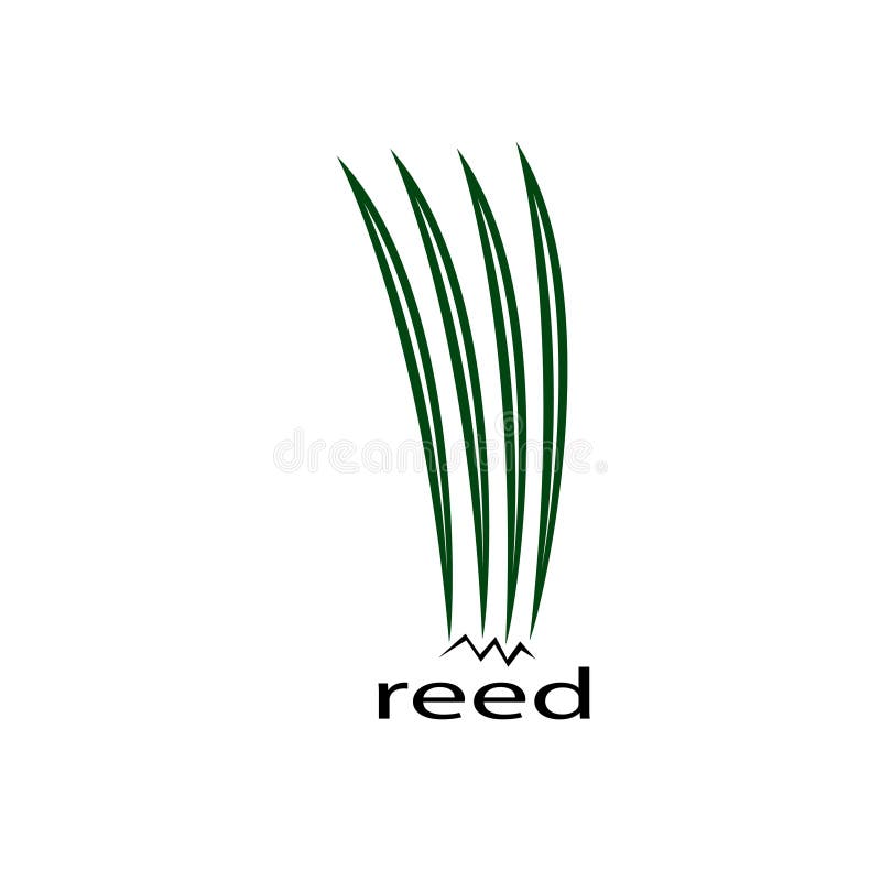 Reed logo art stock illustration. Illustration of pattern - 152598387
