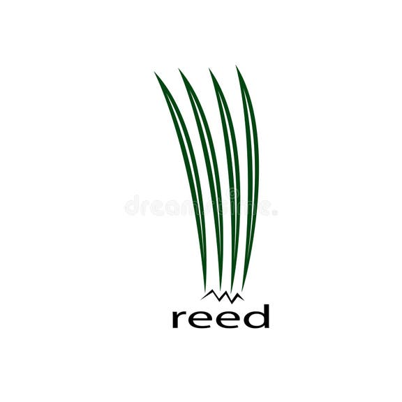 Reed logo art stock illustration. Illustration of pattern - 152598387