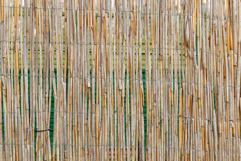 Reed mat stock image. Image of light, fence, garden, background - 80814477