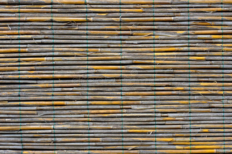 Reed panel stock photo. Image of wicker, natural, close - 51040342